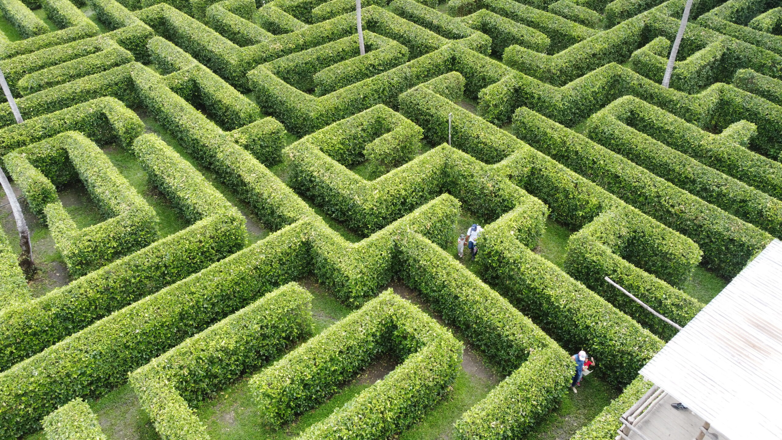 Laberinto, un tesoro macondiano